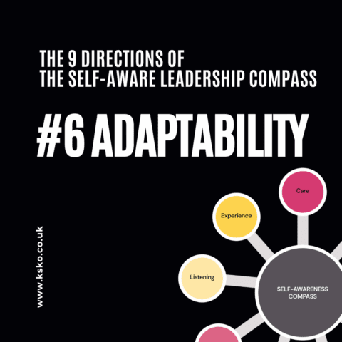 Core Concepts: The Self-Aware Leadership Compass #6 - ADAPTABILITY - Knowing Self Knowing Others